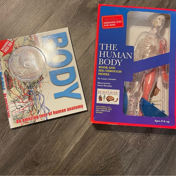 Other | 3 For 15 Body Book And Human Body Set From The Bodies Exhibit ...